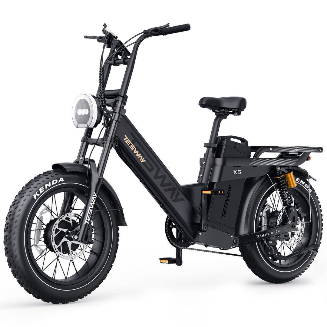 Tesway X5 AWD Dual-Motor Step Thru Electric Bike – Buzzify